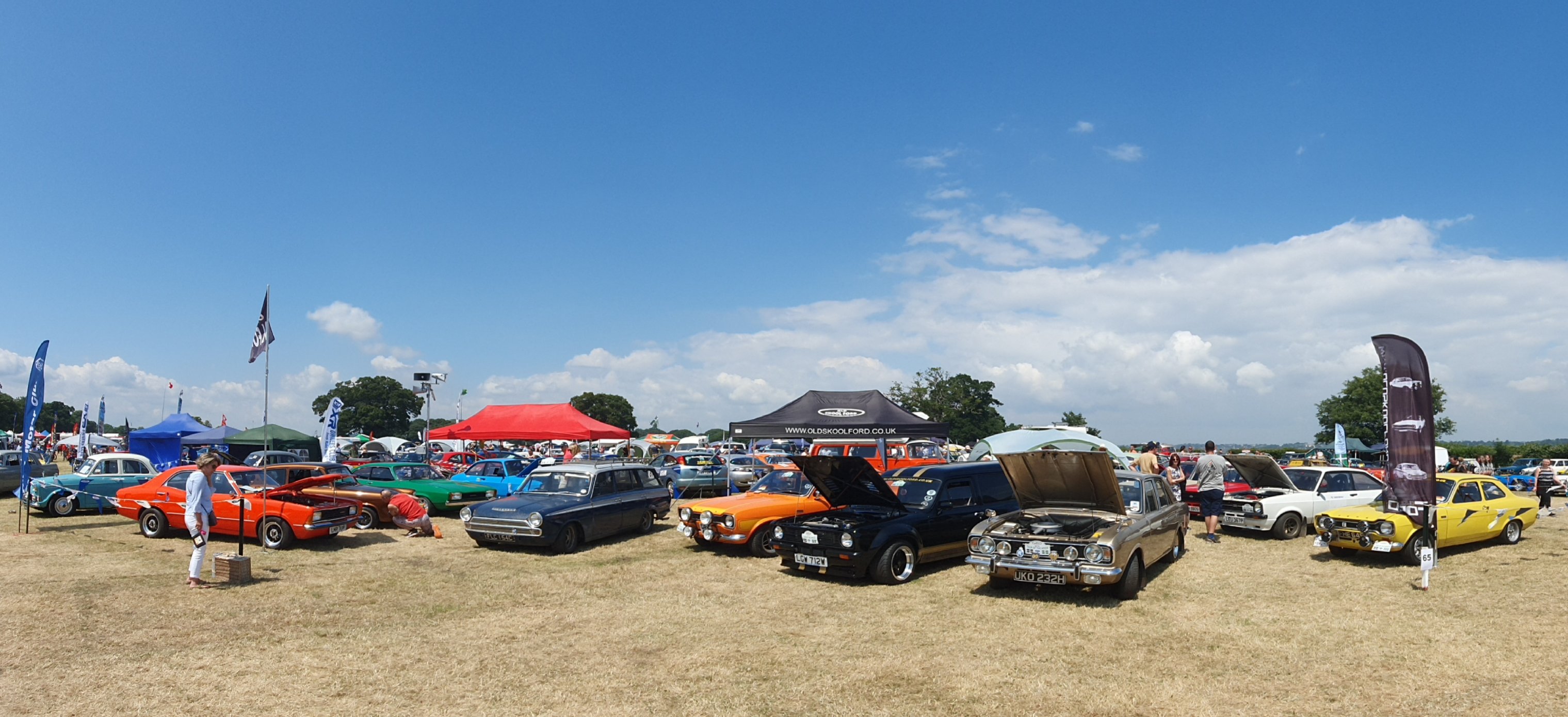 Powderham Historic vehicle gathering 2019 - EVENT REPORTS - Old Skool Ford